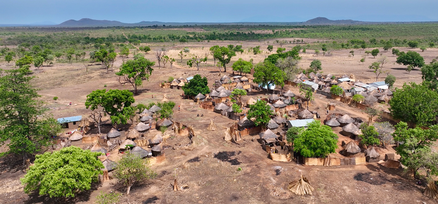 The 3 Wildlife Conservation Pillars | Faro Safaris